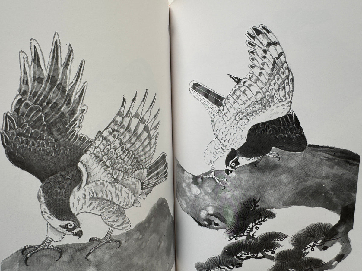 100 phases of Falcon – Mitsume Bookshop